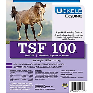 Uckele Equine TSF 100 Horse Supplement - Metabolic Support Powder for Horses - Equine Mineral Supplement - 5 Pound (lb)