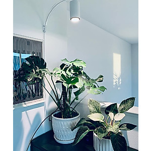 Aspect Large White Luxury LED Grow Light – for Medium and Large Plants