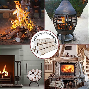 6 Pack Birch Logs Decorative Birch Branches Natural Birch Log for Decoration,Crafts,DIY, Fireplace Decor Firewood(Birch Logs:2.3"-3.2" Dia. x 16.5" Length)