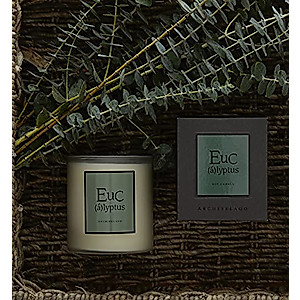 Archipelago Botanicals Eucalyptus Boxed Candle | Wild Eucalyptus, Palm Leaf and Musk | Clean Soy Wax Blend Burns 90 Hours (14 oz)