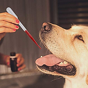 CCINEE 200PCS 3ml Disposable Plastic Transfer Pipettes Calibrated Dropper Suitable for Science Laboratory