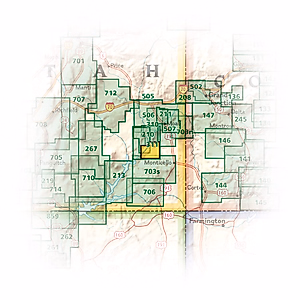 Needles District: Canyonlands National Park Map (National Geographic Trails Illustrated Map, 311)