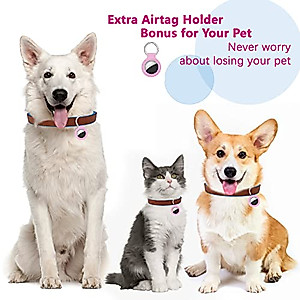 Retractable Dog Leash, Pet Walking Leash with Anti-Slip Handle, Strong Nylon Tape, Tangle-Free, One-Handed One Button Lock & Release, Suitable for Small Medium Dog Cat,10 ft