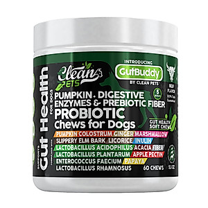 Gut Health Probiotics for Dogs with Pumpkin, Colostrum, Digestive Enzymes, Ginger, Slippery Elm, Licorice, Inulin Fiber & More | Beef Flavor Soft Chews Digestion Dog Supplement by Clean Pets