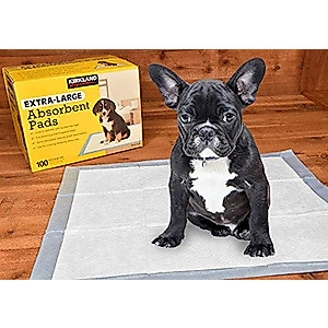 Extra-Large Absorbent Pads, 100 Large Pads, 30"x23" by Kirkland