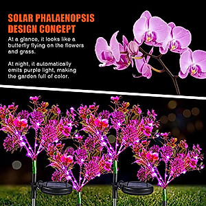 Neporal Solar Lights Outdoor Garden Decorative, 4 Pack Solar Powered Phalaenopsis Flower Lights Design, Solar Light Outdoor Waterproof IP65, Solar Garden Decorations - Gardening Gifts for Women