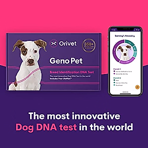 Orivet Genopet Dog DNA Test | Dog Breed Test Kit, Genetic Testing, Heritable Health Risks and Life Plan