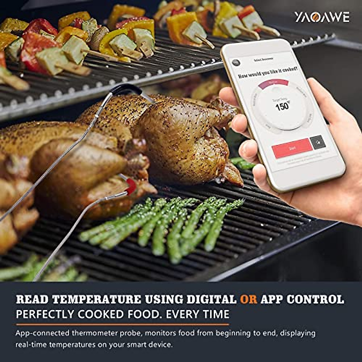 iGrill Pro Meat Probe Replacement for Weber Genesis/Spirit Gas and SmokeFire Pellet Grills, 2.5mm Plug Temperature Probe Kit for Weber Connect Smart