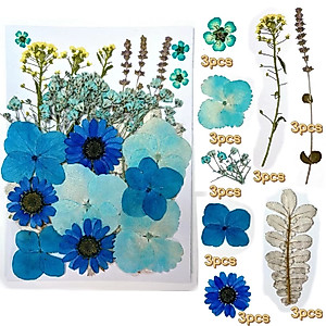 Fbrand 180 Pieces of Real Dry Embossed Flowers with Plant Petals Used for Scrapbook Supplies Card Making Nail Art Picture Frame Decoration soap and Candle