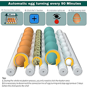 Hethya Pro16 Eggs incubators for Hatching Eggs Fahrenheit with Automatic Turner Chicken Incubators Farm Poultry Incubators