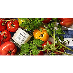 Outdoor Fellow Tomato Vine Luxury Scented Candle, 40+ Hour Burn Time, Coconut & Apricot Wax Blend, Best Smelling Luxury Tomato Candle for Home, (8oz)