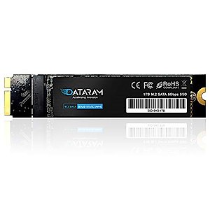 Dataram SSD for 2012 Apple MacBook Air EMC 2558 & EMC 2559, SATA-III M.2 2280 Internal SSD (1TB)