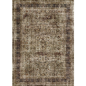 Poeti Washable Rug, Vintage 4x6 Rug with Anti-Slip Backing, Ultra Soft Area Rug, Stain Resistant Rugs for Living Room, Traditional Rug (Olive/Charcoal, 4'x6')