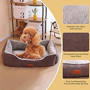 HOOPET Dog Bed for Small Dog Sofa Bed for Indoor Cats Sofa with Reversible Cushion Tear Resistant Small Dog Bed Washable with Removable Cover Puppy Bed for Small Dogs, 25.6"x 19.7", Brown