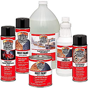 AGS RUST SOLUTIONS Rust Spray Paint, 14 Ounces, Matte Black Finish