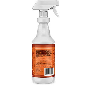 Vine Homecare - Squirrel Control Spray - Natural, Non-Toxic Squirrel Repellent - Quick, Easy Pest Control - Safe for Use Around Children and Pets - Made with Essential Oils - 32 OZ