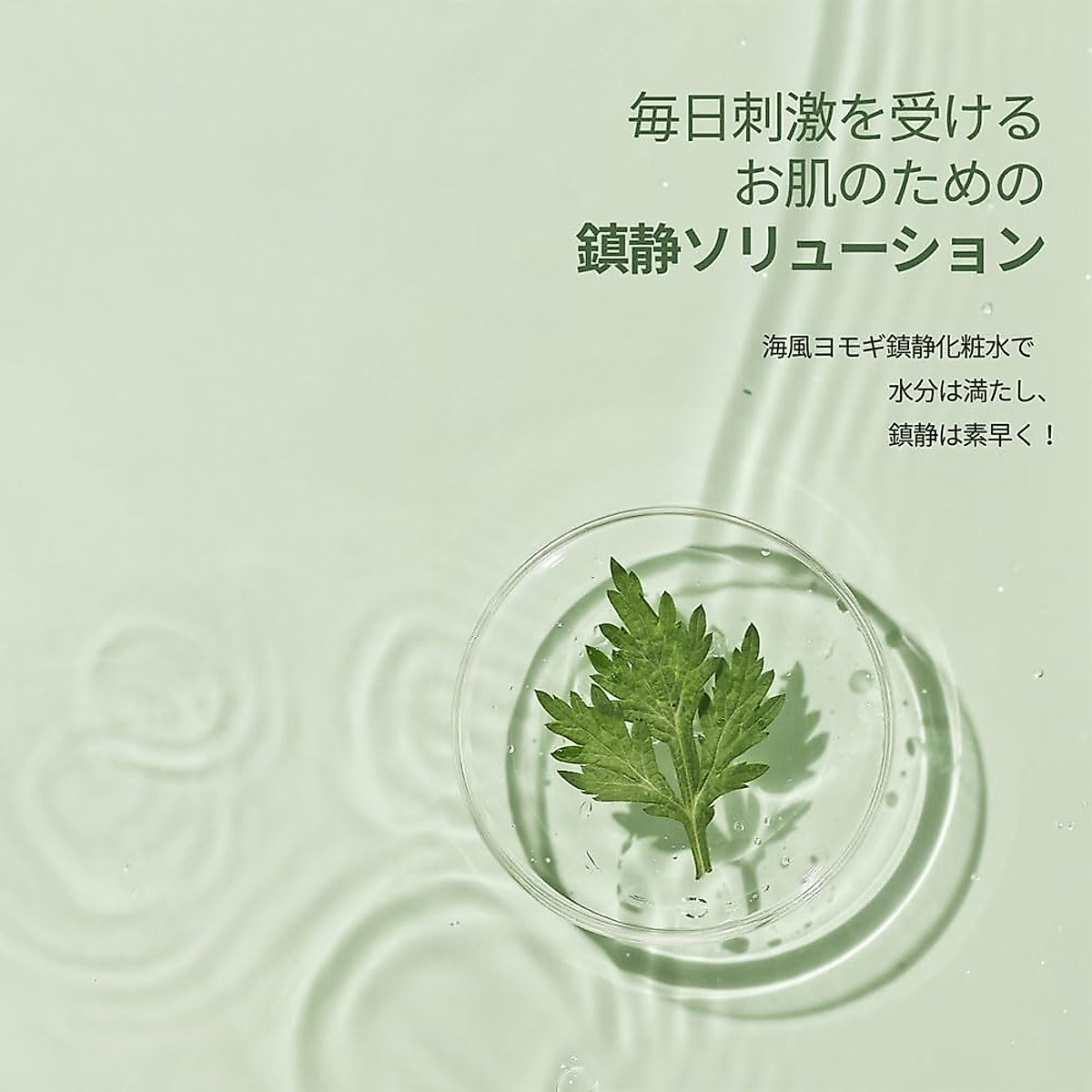 ROUND LAB Mugwort Calming Toner 300ml / Madecassoside, Soothing, Water Type Toner