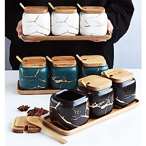 JFFLYIT 3 Pcs Porcelain Condiment Jar Pot Spice Container Ceramic Seasoning Jar with Lid Spoon and Tray Great for Home Kitchen Counter, Black