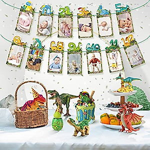 Dinosaur First Birthday Decorations, 1st Birthday Photo Banner for From Newborn to 12 Months Baby, Wild One Birthday Decorations, Monthly Milestone Photo Booth Props for Safari Dino Birthday Decor