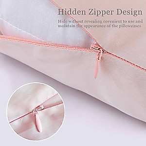 Sutuo Home Silk Pillowcase 2 Pack 100% Mulberry Silk Pillow Cases for Hair and Skin Grade 6A Both Sides 19 Momme Natural Real Silk Zipper Gift Pillow Cover for Girl's Sleep Standard 20"x26" Pale Pink