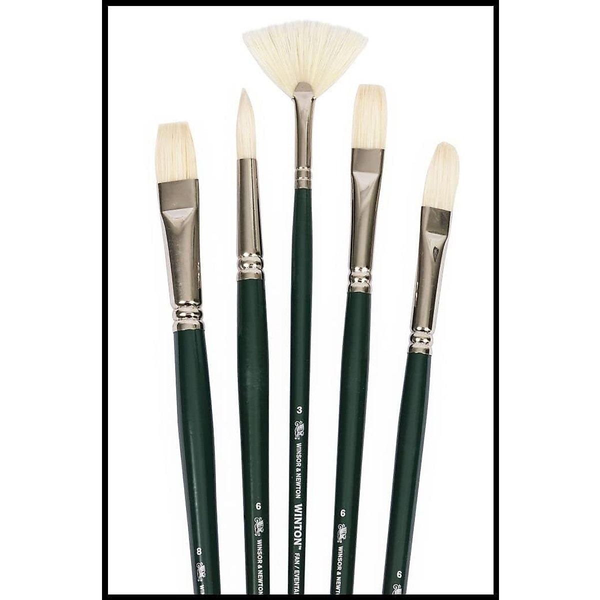 Winsor & Newton Winton Long Handle Brush (5 Pack) (Round 6, Filbert 6, Flat 6, Bright 8, Fan 3)