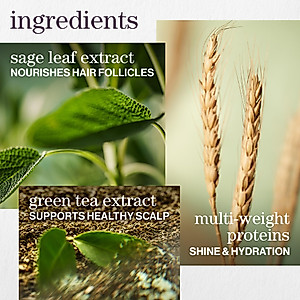 Pureology Hydrate Moisturizing Conditioner | For Medium to Thick Dry, Color Treated Hair | Sulfate-Free | Vegan