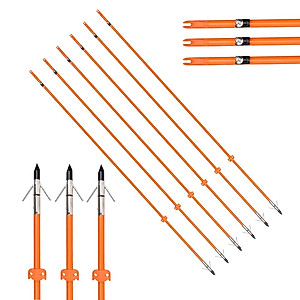 ELONG Bow Fishing 32 Inch 5/16" Hunting Arrows Archery Fiberglass Arrows with Safety Slides Broadheads (Pack of 6)