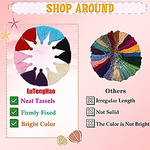 EuTengHao Irregular Chip Stone Beads Kit with Wishing Bottles,Crystal Gemstone Beads and Tassels,Jewelry Wires,Pliers,Rings,Jewelry Findings for Necklace Bracelet Earring Ring Making (1319Pcs)