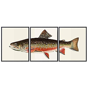 Trout Wall Art Print Set x3 - Vintage Home Decor for Beach or Lake House, Living Room, Den, Man Cave, Office, Bedroom - The Perfect Affordable Gift for Fisherman, Fishermen - 8x10 Photo - Unframed