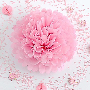 HappyField 12PCS 10” 12” Baby Pink Blue White Tissue Paper Pom Poms Flower Gender Reveal Party Supplies Gender Reveal Party Decorations Boy or Girl Baby Shower Decorations Pink and Blue Decorations