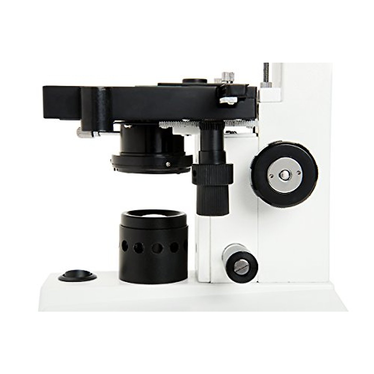 Celestron – Celestron Labs – Binocular Head Compound Microscope – 40-2000x Magnification – Adjustable Mechanical Stage – Includes 2 Eyepieces and 10 Prepared Slides