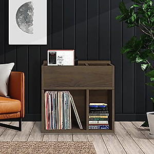 Way Basics 2 Tier Vinyl Record Multi Shelf LP Records Bookcase, Royal Walnut