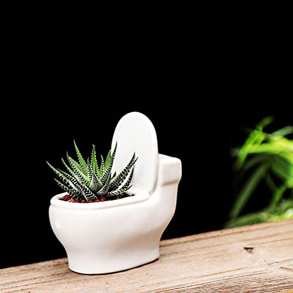 Plants Decor 2pcs Ceramic Toilet Plant Pot Succulent Planter Mini Flower Pots Bonsai Pot with Drainage Holes for Home Office Table Decoration Office Decor