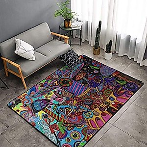 Bedroom Livingroom Sitting-Room Queen Size Area Rug Home Decor - Colorful Psychedelic Trippy Art Floor Pad Rugs Quick Dry Throw Bath Rugs Yoga Mat Non-Slip Throw Rugs Carpet