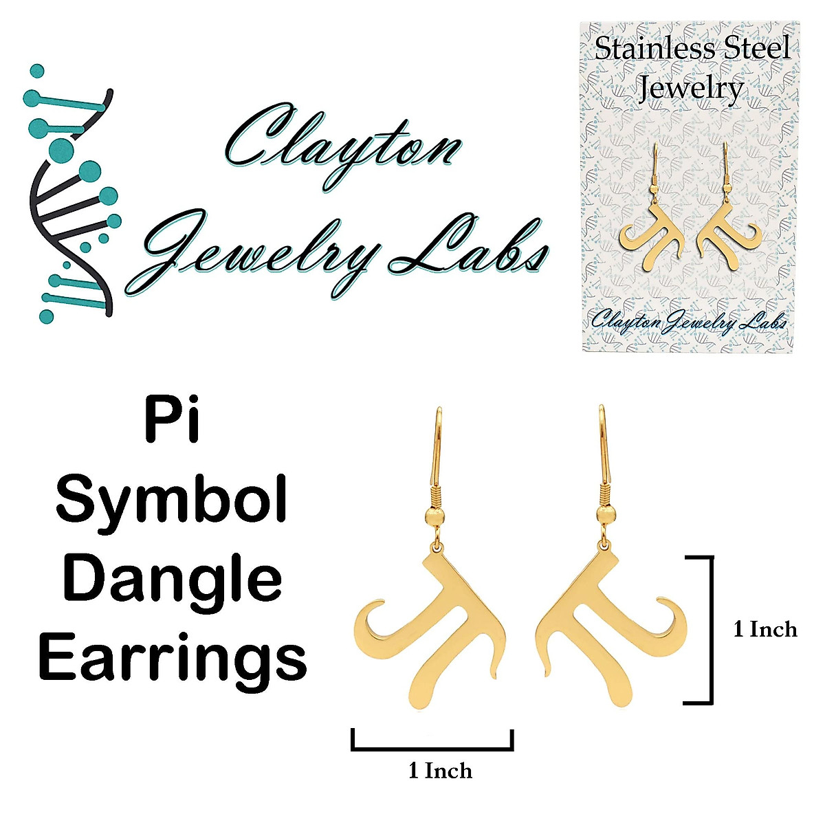 Pi Symbol Stainless Steel Dangle Earrings (Black)