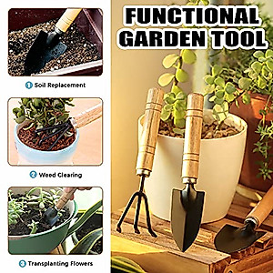 Wokape 50Pcs Garden Tool Set Gardening Kit, Handle Trowel Transplanter Cultivator Pruning Shears Cultivator Hand Rake Shovels and Gardening Gloves Gardening Supplies Gifts for Weeding, Digging