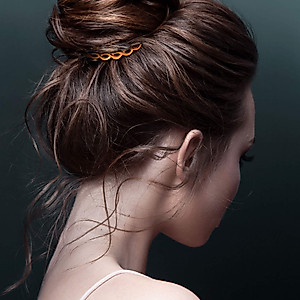 WILLBOND 16 Pieces Women Hair Comb Accessories French Hair Side Combs Plastic Twist Decorative Comb Clips for Women Bridal Wedding Veil Teeth(Black, Transparent, Light Coffee, Dark Coffee)