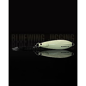 BLUEWING Fishing Lures Saltwater Jigging Lures Vertical Jigs for Saltwater Fish Slow Fall Pitch Sinking Lead Fishing Bait with Hook 150g White