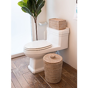 Kouboo La Jolla Rattan Round Plastic Insert & Lid, Large, White-Wash for Bedroom, Living Room and Bathroom Basket for Dry or Organic Waste