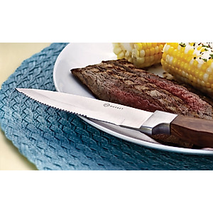 Outset QJ91 Jackson Steakhouse Knife Set, 0.75 x 1 x 10.25 inches, Brown