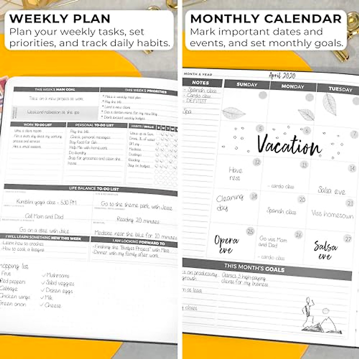 Clever Fox Planner Daily PRO - 8.5 x 11" A4 Size Daily Life Planner and Gratitude Journal to Increase Productivity, Time Management and Hit Your Goals - Undated - Lasts 3 Months (Silver Black)