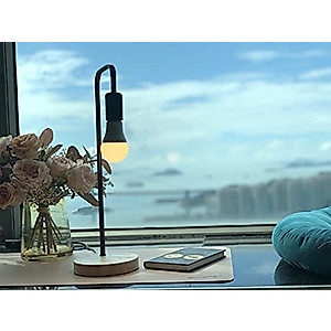 Qivation TiO2 E26 Smart LED Light Bulb 8W 800lm with 24/7 Air Purification, BLT+WiFi Smart Bulb, RGB Full Color, Compatible with Alexa & Google Assistant, No Hub Required