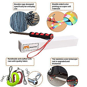 bluemary Cat Toys, 2pcs Cat Wand Toy and 4pcs Rainbow Cat String Toy with Feather Teasers, Interactive Cat Toys for Indoors,Funny Exercise for Kitten or Cats