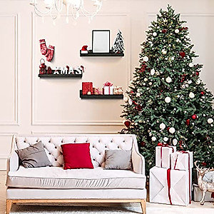 16 Inch Black Floating Shelves - Set of 3 Photo Ledge Wall Mounted Shelves with Invisible Brackets - Floating Shelves Black for Bedroom, Living Room, Bathroom, Kitchen, Office - 3 Different Sizes