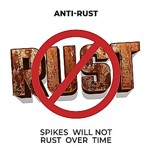 CHAMP 1/4" Steel Pyramid Spikes with Wrench