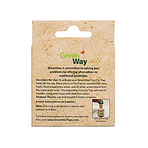 Greenway Traps Fruit Fly Trap (24 Traps) - Indoor and Kitchen Fruit Fly Trap - Eliminates Fruit Fly Infestations - Eliminate Adult Fruit Flies