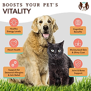 Natural Dog Company Multivitamin Chews & Coldwater Atlantic Salmon Oil Bundle – Advanced Immune Support, Joint Care, and Cognitive Health for Senior Dogs – Perfect Daily Supplement, 90 Chews + 16oz Oi