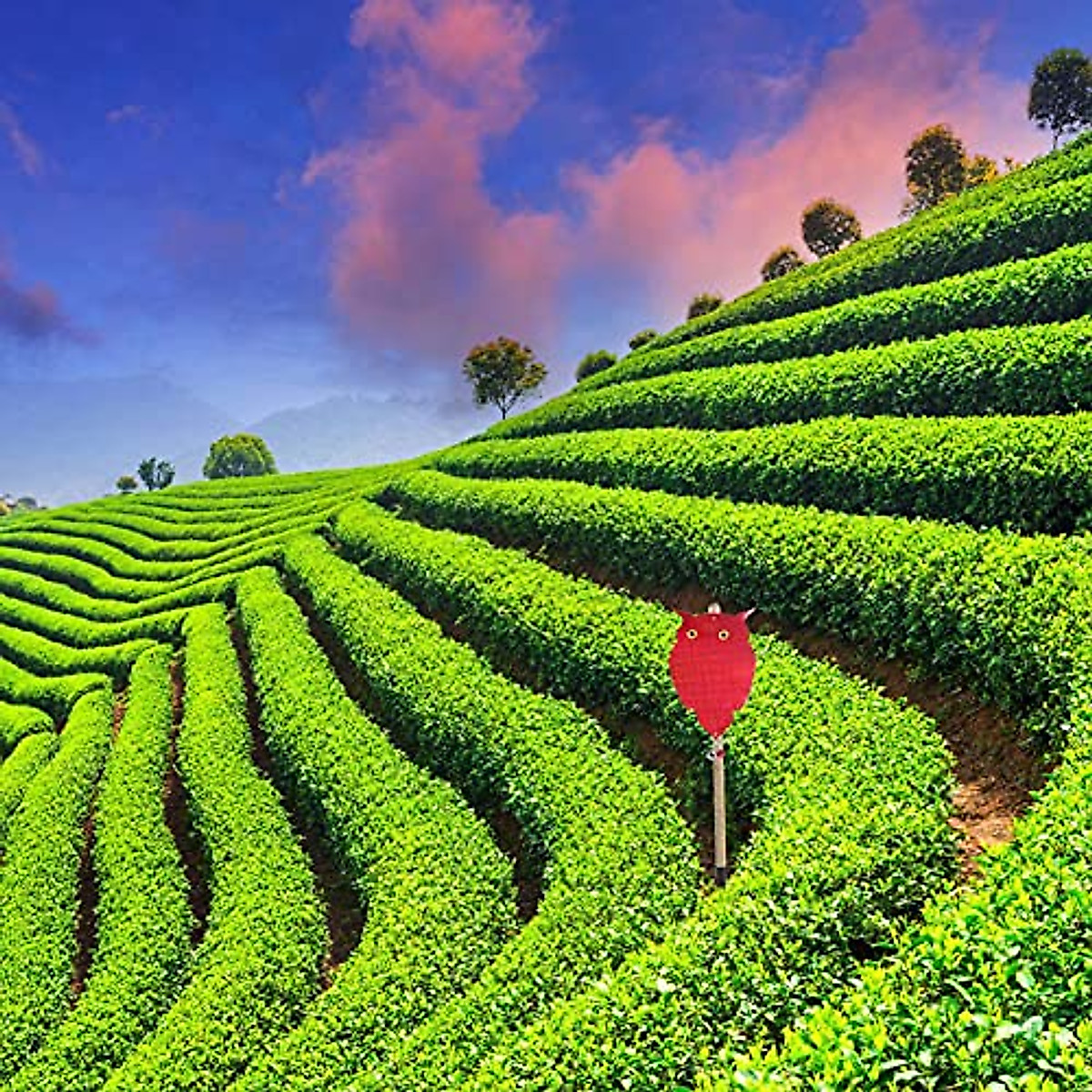 YARDWE 2PCS Owl Fake Hanging Plastic Owl Reflective Bird Blinder Scare Spiral Rods for Window Yard Garden Outdoor