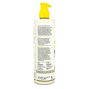 Alaffia Authentic African Black Soap Scalp Care Shampoo and Conditioner - For All Hair Types Normal to Dry Scalp, Nourishes & Soothes the Scalp with Shea Butter & Neem Oil, Tea Tree & Mint, 12 Oz Each