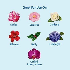 Miracle-Gro Water Soluble Miracid Acid-Loving Plant Food